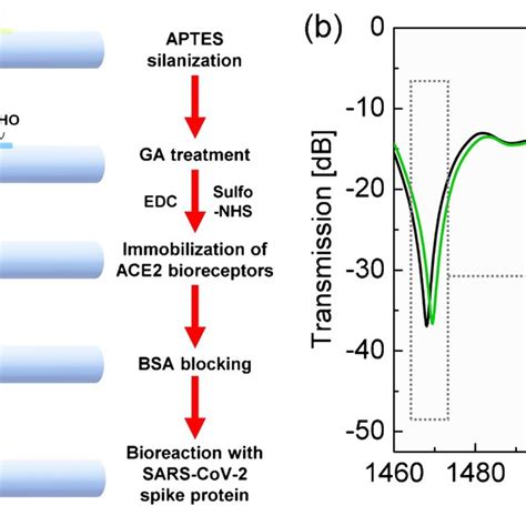 A Schematic Diagram Of Surface Functionalization Process Of Fabricated