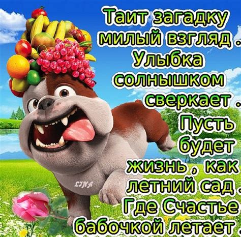 10 открыток для поздравлений с днем рождения [С днем рождения] открытки [на телефон] Оправить