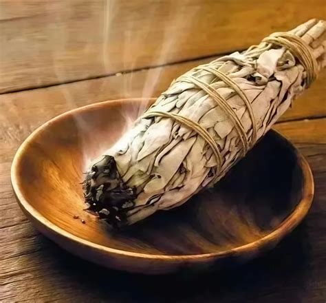 Ancient Chinese Mosquito Repellent Clever Solutions