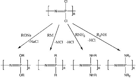 Polyphosphazene Derivatives Obtained Via Nucleophilic Substitution Of Download Scientific