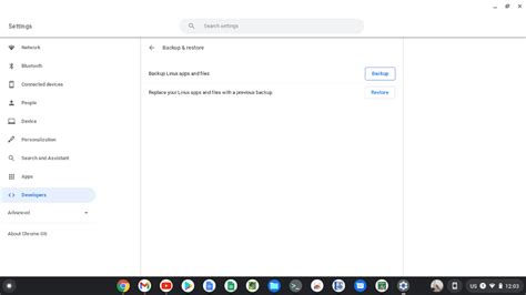 How To Back Up A Crostini Linux Installation On Your Chromebook