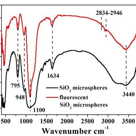 The SEM Images Of SiO 2 Microspheres A And Fluorescent SiO 2 Download Scientific Diagram