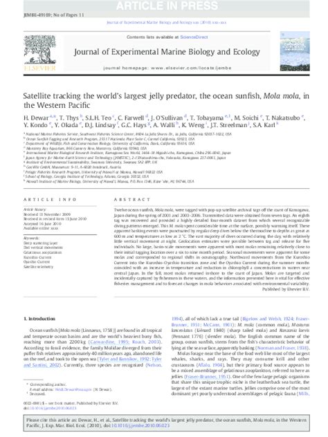 Pdf Satellite Tracking The Worlds Largest Jelly Predator The Ocean