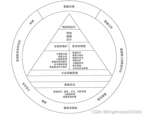 dama dmbok2知识要点 第1章 数据管理 csdn博客