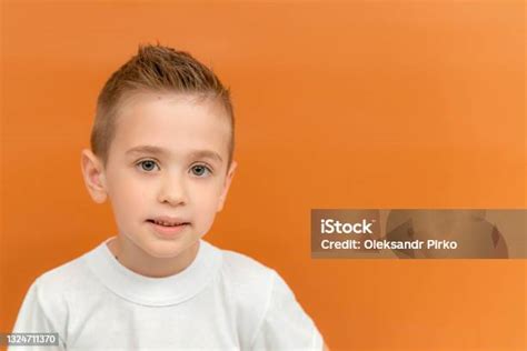 펑키 귀여운 깜짝 놀란 어린이 아이 소녀 터치 손 머리 소리 소리 소리 놀라운 정보 흥정 감동 회색 의류 고립 된 분홍색 배경 4 5세에 대한 스톡 사진 및 기타 이미지