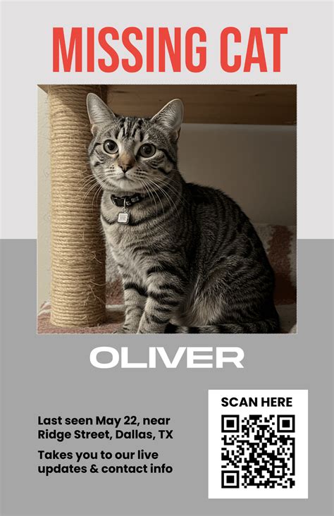 Free Cat Lost Poster With Qr Code Template To Edit Online