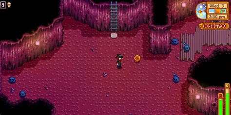 How To Get A Nautilus Shell In Stardew Valley