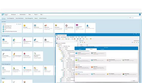 sap enable now