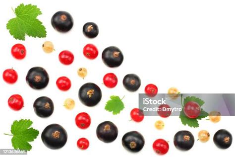 흰색 배경에 고립 된 녹색 잎과 빨간색 건포도와 검은 건포도의 혼합 건강한 음식 맨 위 보기 개체 그룹에 대한 스톡 사진 및 기타 이미지 Istock