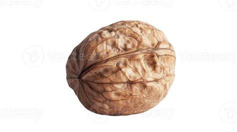 A Walnut Reveals Its Natural Patterns And Textures Highlighting The