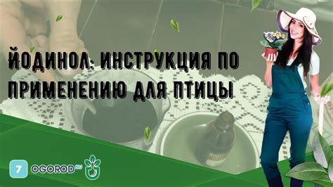 Йодинол: инструкция по применению для птицы - YouTube