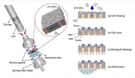 Figure 1 From All In One Nanowire Decorated Multifunctional Membrane