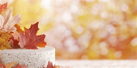 낙엽이 있는 가을 배경과 제품 전시를 위한 돌 연단 지휘대 나뭇잎 가을 배경 일러스트 및 사진 무료 다운로드 Pngtree