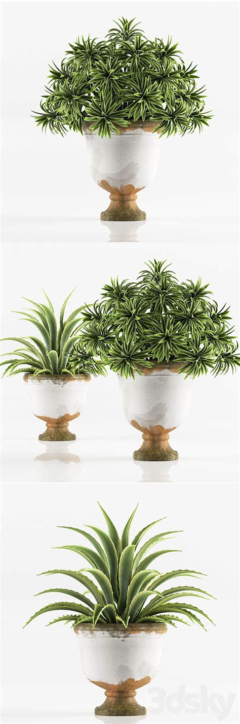 Plants 6 3d Max 3dmaxter