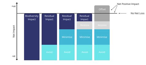 mitigation hierarchy the biodiversity consultancy