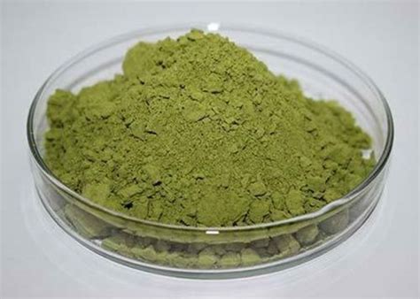 Organic Green Spinach Leaf Extract Age Group For Adults At Best Price In Pune Neelam Herbals