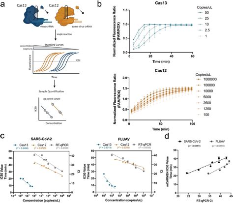 Gotaq Probe Rt Qpcr Kit Promega Bioz