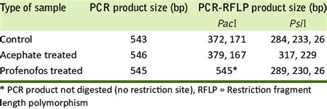 Pcr Rflp Product Sizes Of The 16s Gene Sequence Of Control And Treated Download Scientific