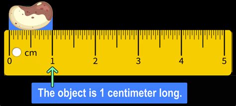 How To Read A Ruler In Mm