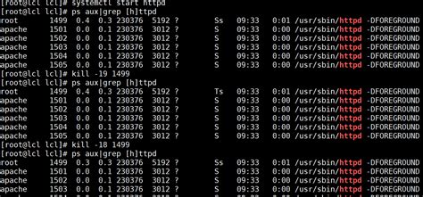 Linux学习笔记之七（进程管理下和重定向上） Csdn博客