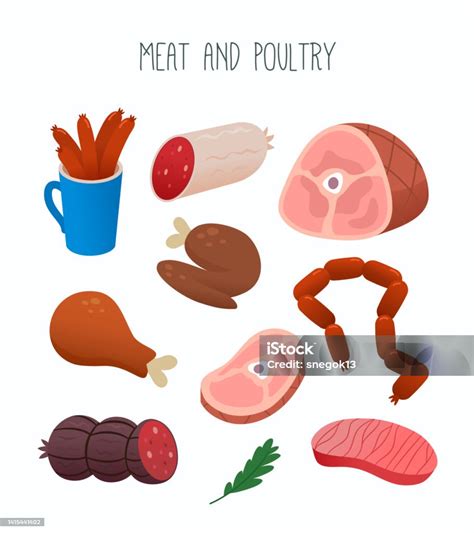 슈퍼마켓이나 정육점에서 일반적으로 판매되는 다양한 종류의 고기 컬렉션 육류 부서 또는 온라인 상점 미디어 및 웹에 대한 라벨 이미지 분리된 벡터 이미지 햄에 대한 스톡 벡터