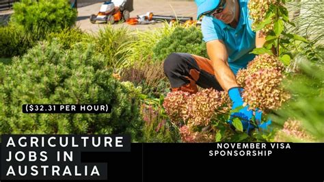 Agriculture Jobs In Australia With Visa Sponsorship 2025 3231 Per