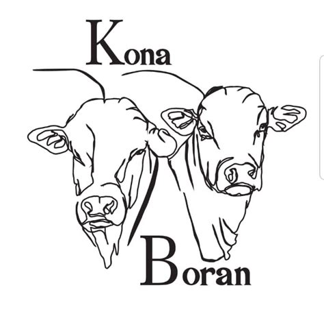 Kona Borane