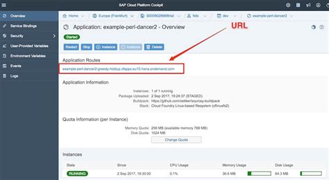 Deploying A Perl Application To Cloud Foundry In S Sap Community