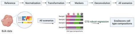 Ensemble Deconvolution Which Uses Ensemble Learning To To Robustly Estimate Cellular Fractions