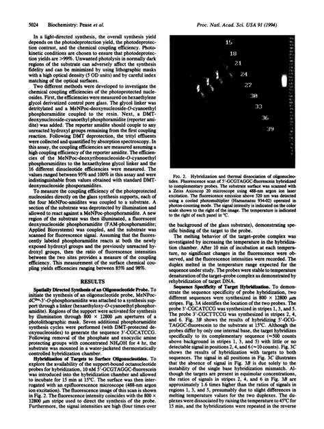 Light Generated Oligonucleotide Arrays For Rapid Dna Sequence Analysis Pmc