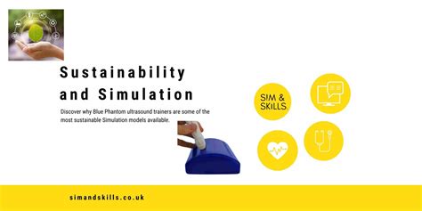 Sustainability And Simulation — Sim And Skills