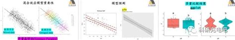 生物群落生态数据统计分析与绘图丨数据清洗结构方程随机森林混合效应模型ggplot等 哔哩哔哩