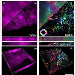 Microscopy Content List Lab Manager
