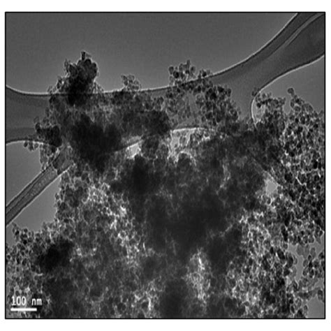 Fe Sem Image Of Pm 597 Sio2 Core Shell Nps Download Scientific Diagram