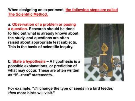 THE SCIENTIFIC METHOD Science Is A Method To Understand The Constantly Changing Environment