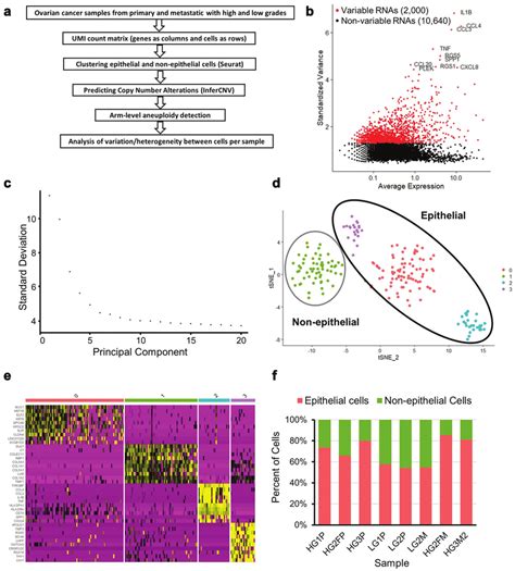 Preparation Of Ovarian Cancer ScRNA Seq Data For CNA Analysis A Download Scientific Diagram