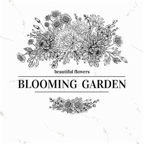 134 100点を超えるblack And White Flowersのストックフォト、写真、そしてロイヤリティフリーの画像 Istock