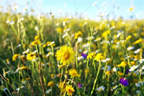 Великден в планината Spa Hotel Persenk