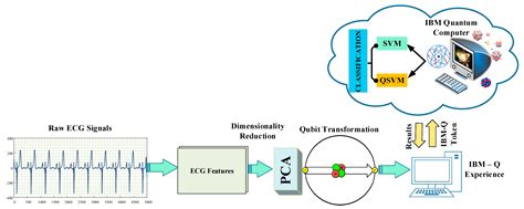Diagnostics Free Full Text Performance Evaluation Of Quantum Based
