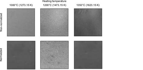 Figure Examples Of Original Sem Images Download Scientific Diagram