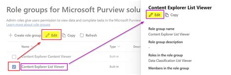 Microsoft Purview Permission Guide