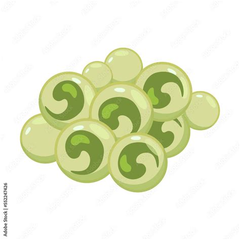 Frog Eggs Cartoon Vector Illustration Transformation From Eggs And Tadpoles Into Cute Toad