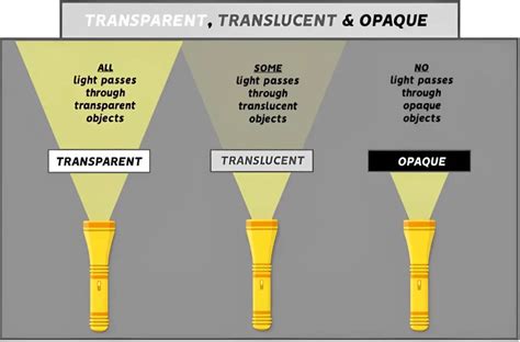 Transparence Et Translucidité Principales Différences Et Applications