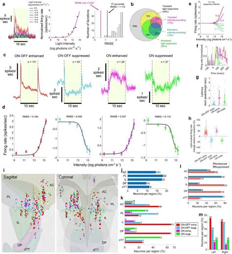 Four Types Of Light Intensity Dependent Persistent Response In The Mpfc Download Scientific