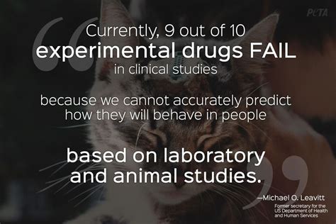 Quotes About Animal Testing Quotesgram