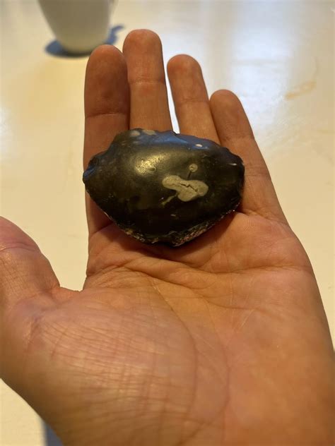 is this a crab fossil r fossils