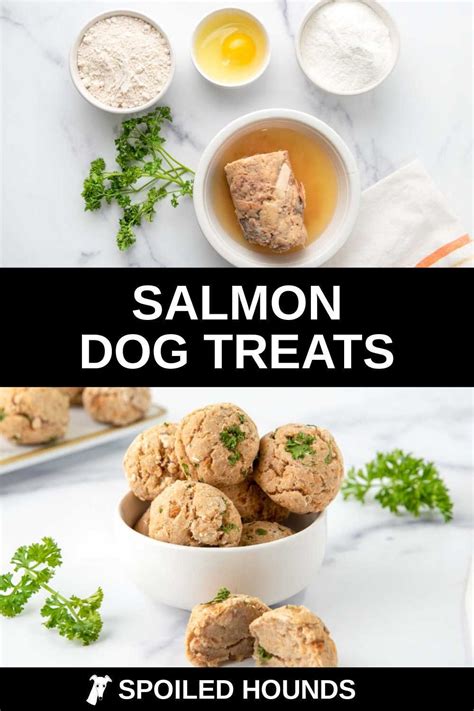 Salmon Dog Treats Recipe Artofit