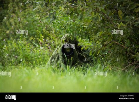Wildlife Photographer With A Large Lens Hiding Under A Green Camouflage Netting In Summer Nature