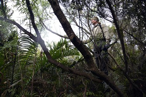 Projects — Daniel Owen