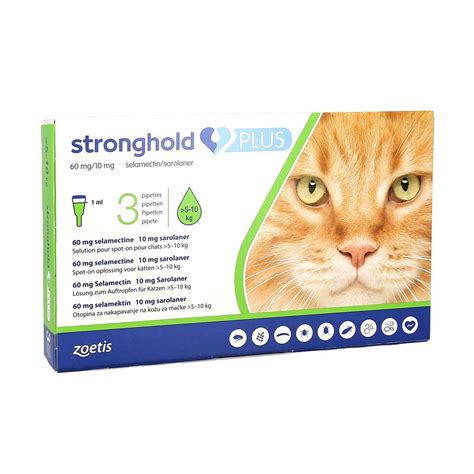 Stronghold Plus En Ligne Stronghold Gratuit A Télécharger Ybsqim